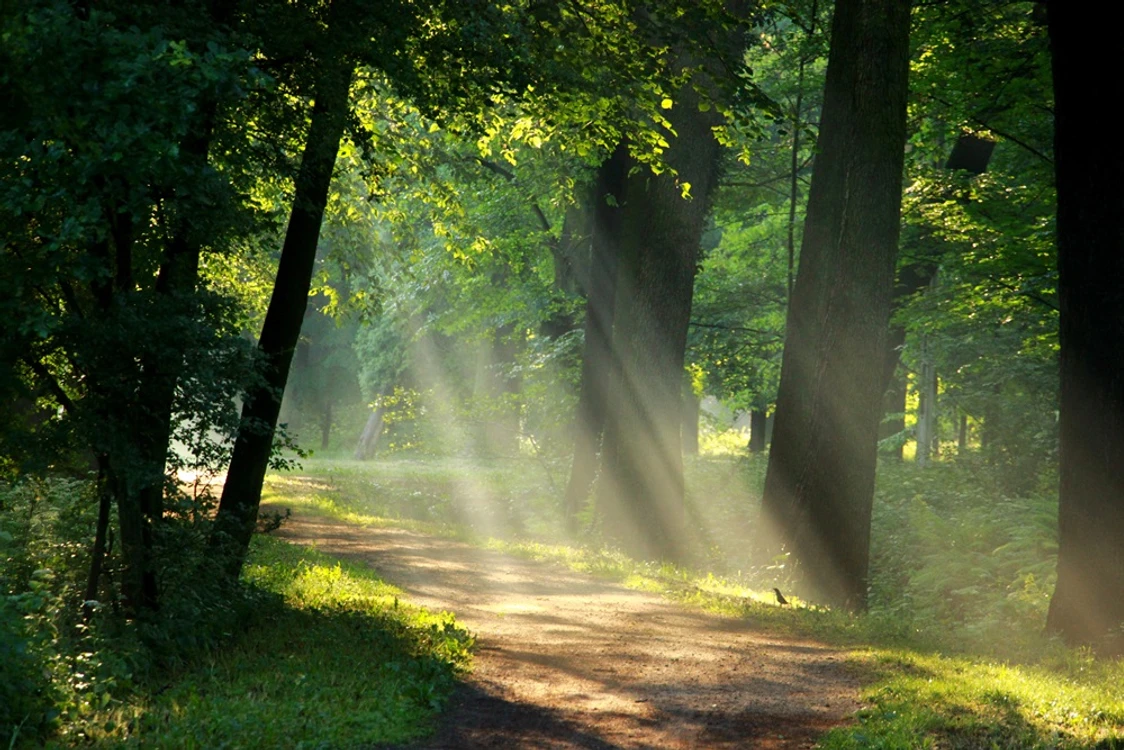 1000007771 - halcia007 | PLFOTO